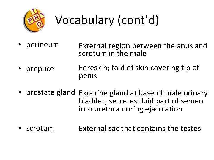 Terminology Combining Form Meaning andro male balano glans