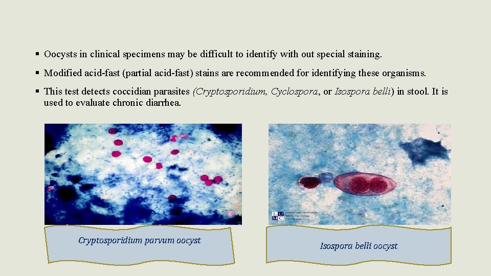 Faculty of health sciences Medical Laboratory Sciences Department