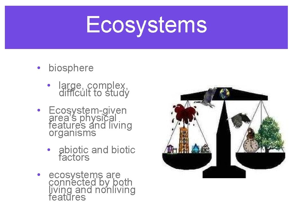 The Biosphere ecosystems ecological succession land water biomes