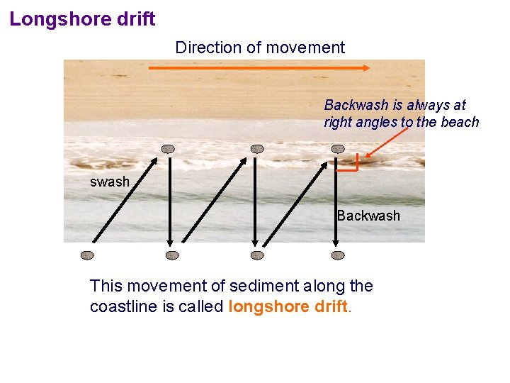 What is this Can you guess how it