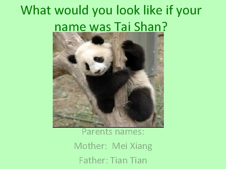 What would you look like if your name