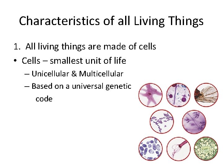 Chapter 1 Biodiversity The variety of life in