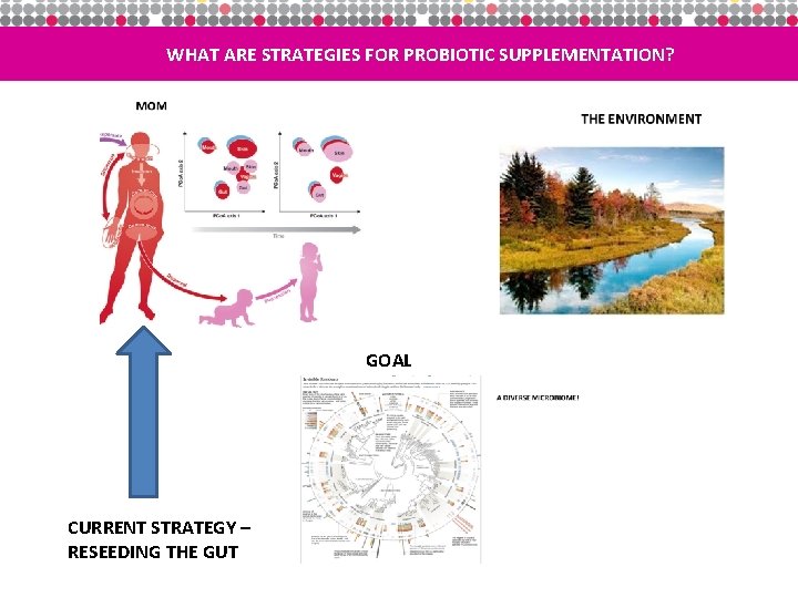 A New Understanding of Probiotics and The GROUND