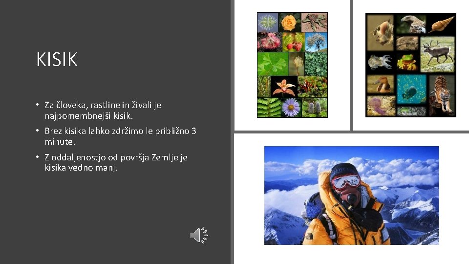 ZRAK mag Erika Leban Zaletelj ZRAK Obdaja Zemljo