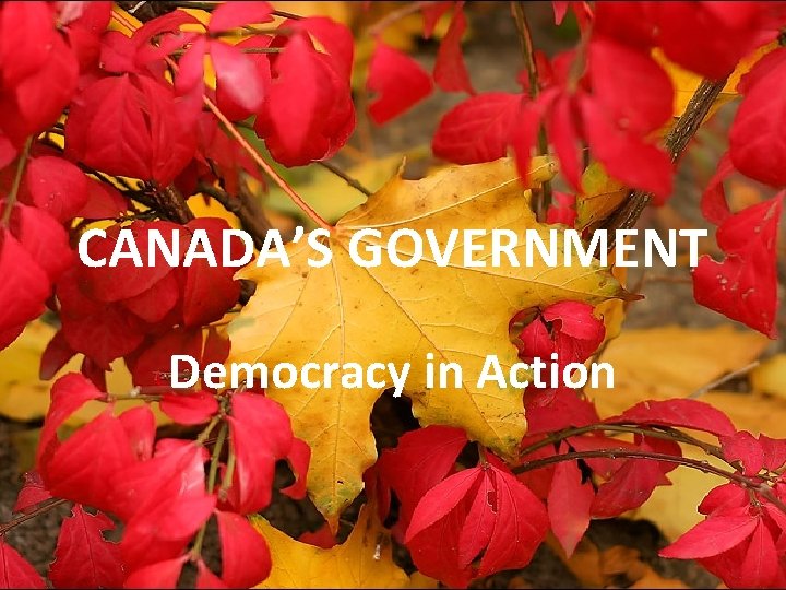 CANADAS GOVERNMENT Democracy in Action The Constitution Canadas