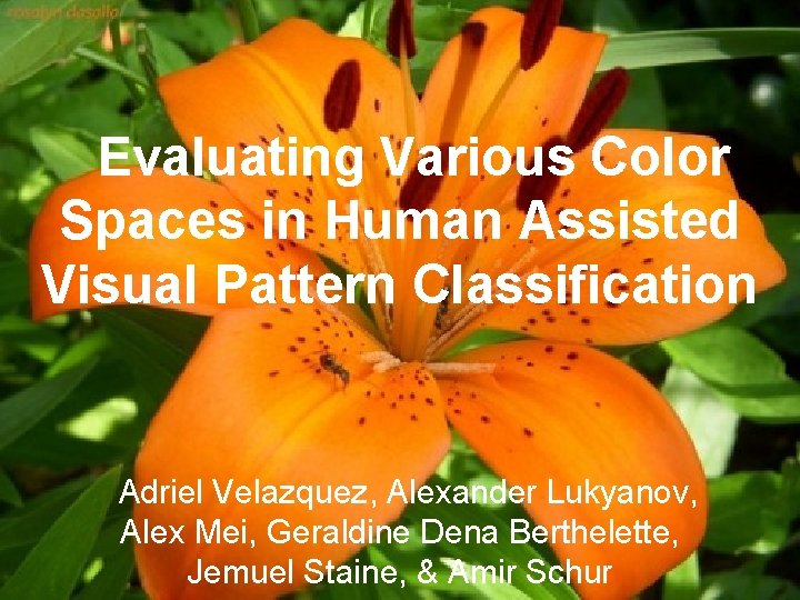 Evaluating Various Color Spaces in Human Assisted Visual