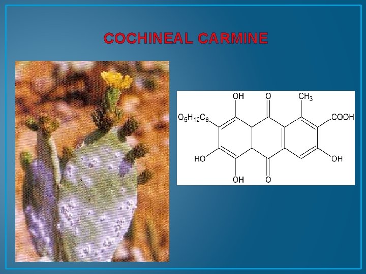 NATURAL FOOD COLORANTS Biotechnology aspects and applications in