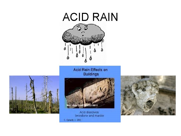Germany ACID RAIN Acid Rain What is acid