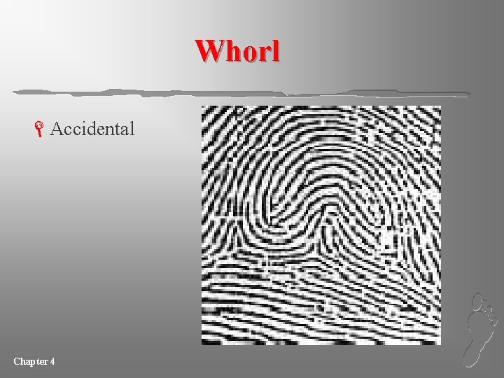 Unit 1 Fingerprints Fingerprints cannot lie but liars