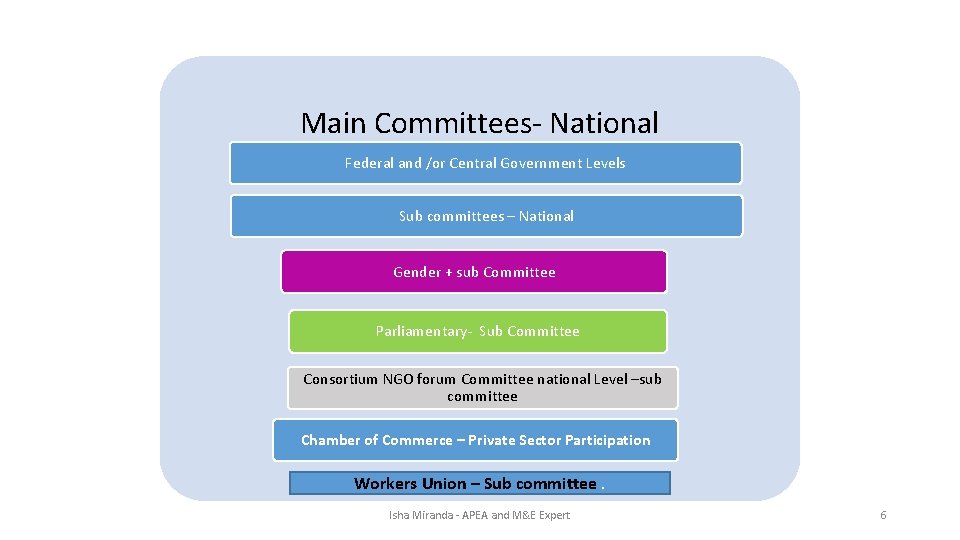 ADVOCACY FRAMEWORK EVALSDG 1 PRIMARY TEAM 2 REGIONAL