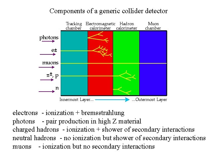 Lecture 22 Components of a generic collider detector