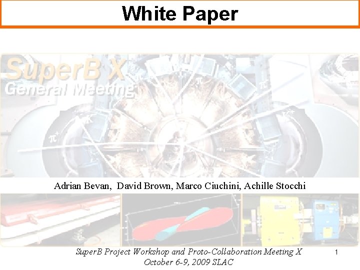 White Paper Adrian Bevan David Brown Marco Ciuchini