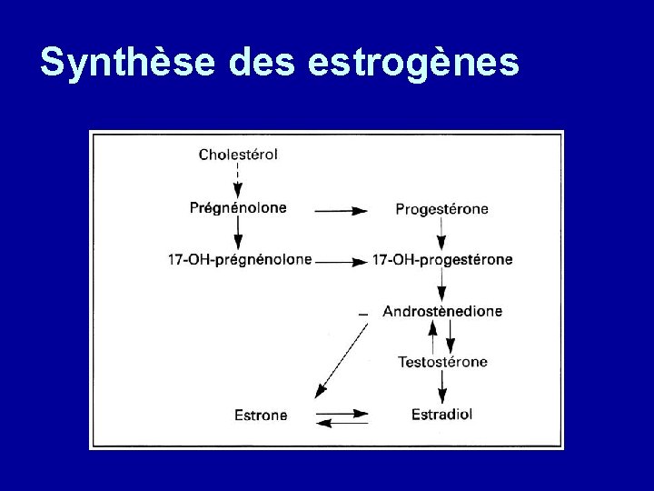 Contraception hormonale Prof Emmanuel OGER Laboratoire de Pharmacologie