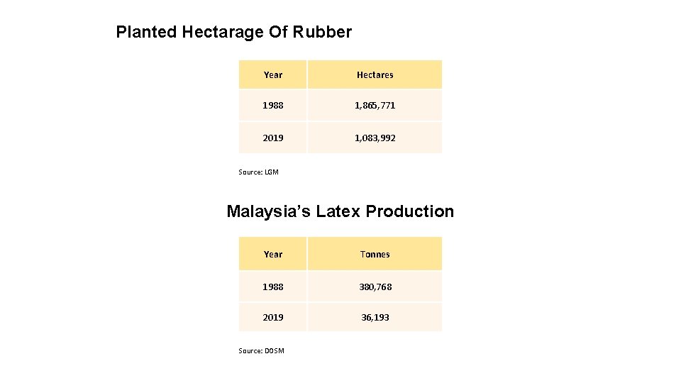 DEVELOPMENT OF NATURAL RUBBER INDUSTRIES FOR THE WORLD