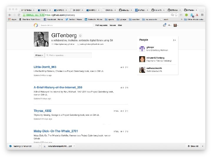 Metadata for Eric Hellman Free Ebook Foundation How