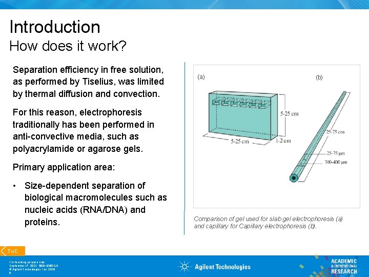 Fundamentals of Capillary Electrophoresis Theory BUILDING BETTER SCIENCE