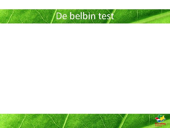 Belbin presentatie ZESC Regio Scouting Zeeland Versie 1