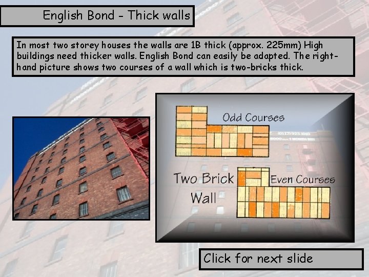 Solid walls English Bond Wall 1 brick thick