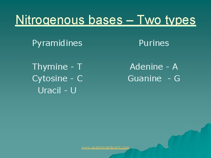 Structure of Nucleotide www assignmentpoint com Structure of