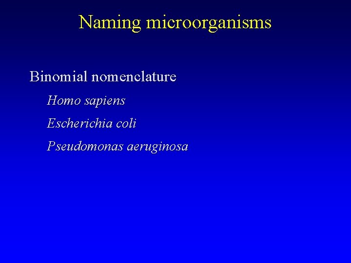 Evolution classification and identification of bacteria Early life
