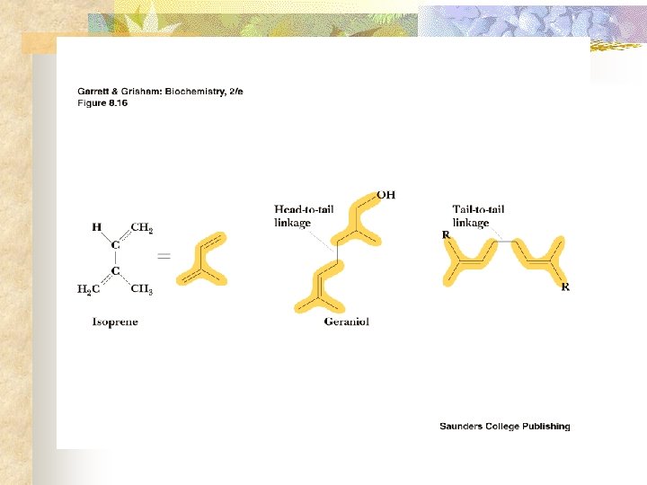 Clases de Lpidos Todos lpidos biolgicos son amfipticos