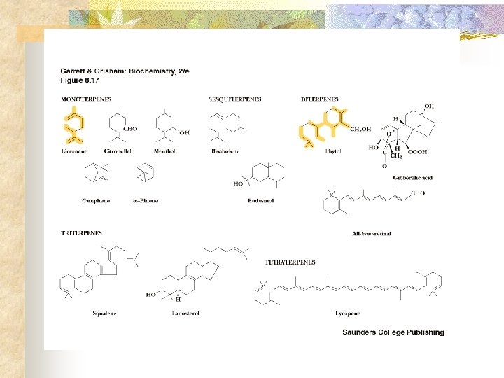 Clases de Lpidos Todos lpidos biolgicos son amfipticos