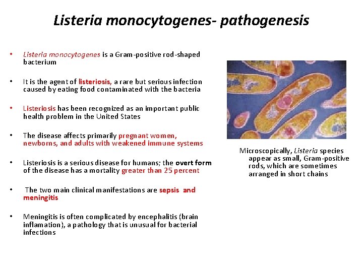Evasion and submersion of immune responses Tuberculosis showed