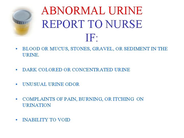 Anatomy of the Urinary System VOCABULARY INCONTINENCE THE