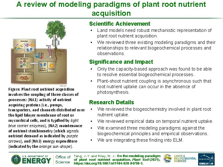 A review of modeling paradigms of plant root