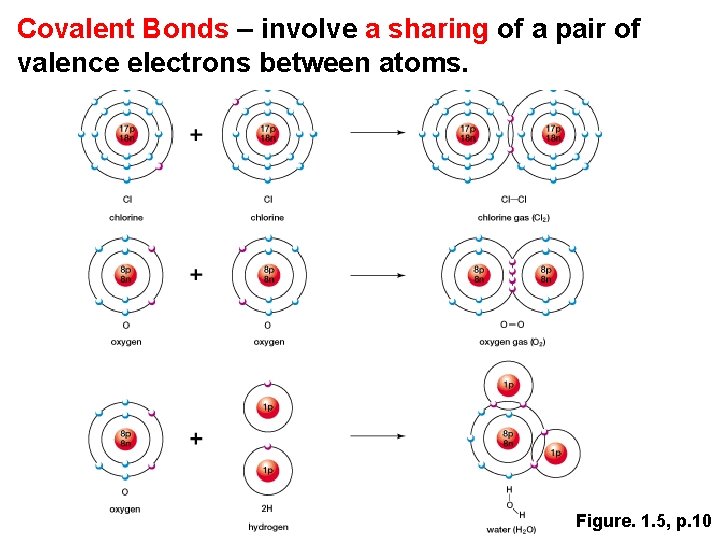 SBI 4 U BIOCHEMISTRY Atoms Bonding Molecular Polarity