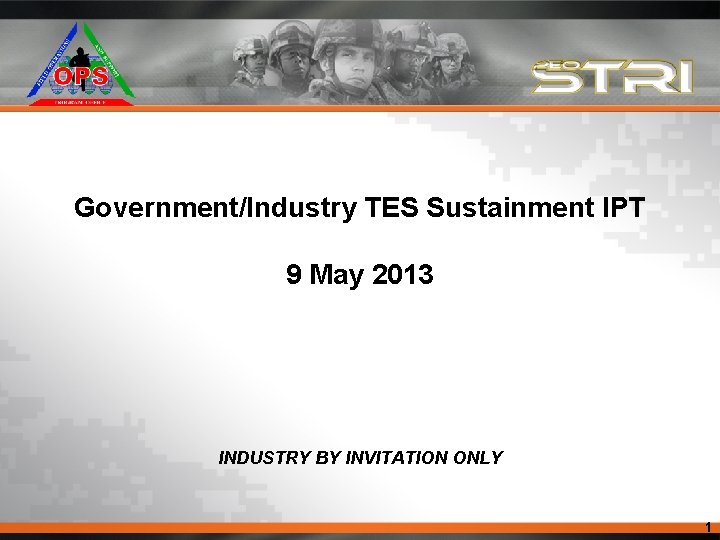 GovernmentIndustry TES Sustainment IPT 9 May 2013 INDUSTRY