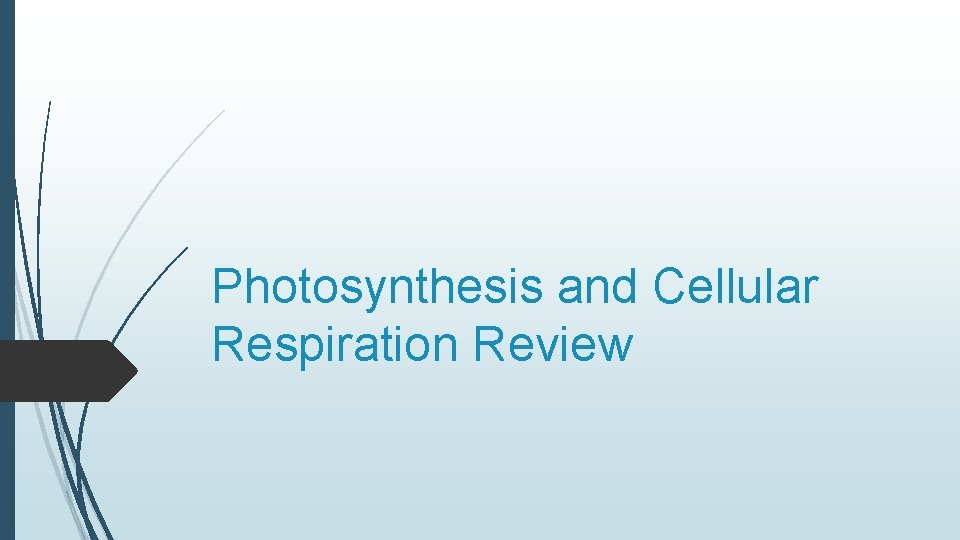 Photosynthesis and Cellular Respiration Review Photosynthesis Plants ...