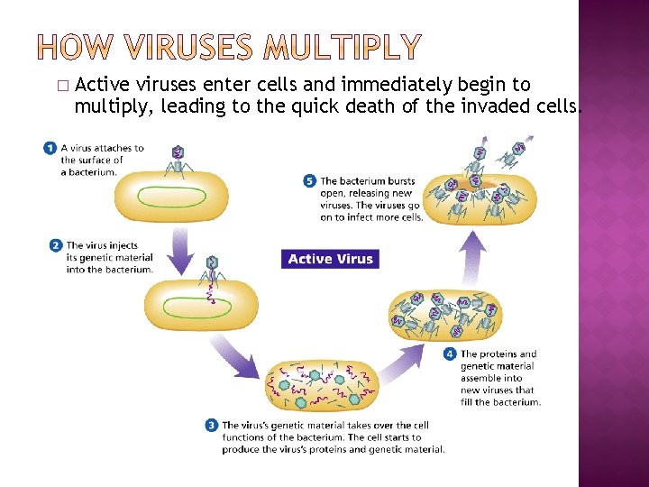 d Students know there are important differences between