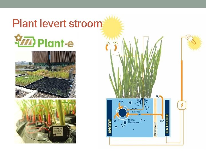 PMFC Microbial fuel cell als context voor REDOX
