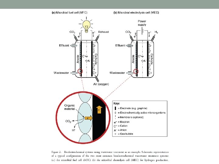 PMFC Microbial fuel cell als context voor REDOX