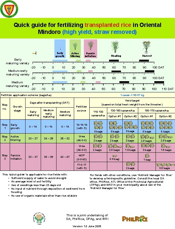 Quick guide for fertilizing transplanted rice in Oriental
