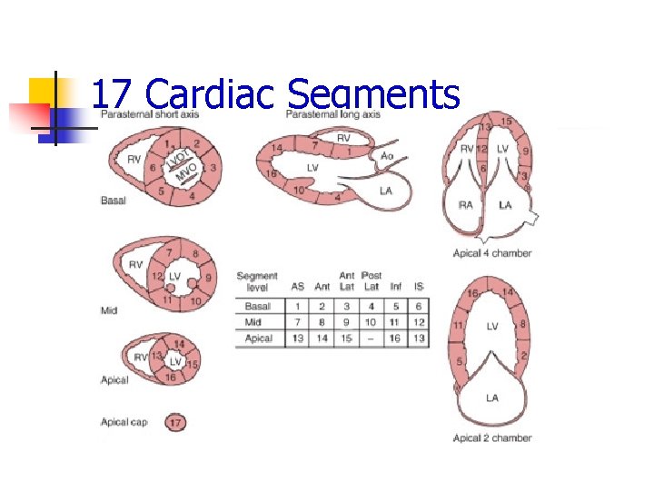 Echocardiographic Assessment of Left Ventricular Systolic Function Rasoul
