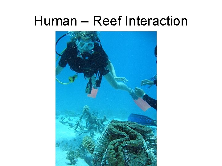 AUSTRALIA Cape York Peninsula Tropical Rainforest Great Dividing