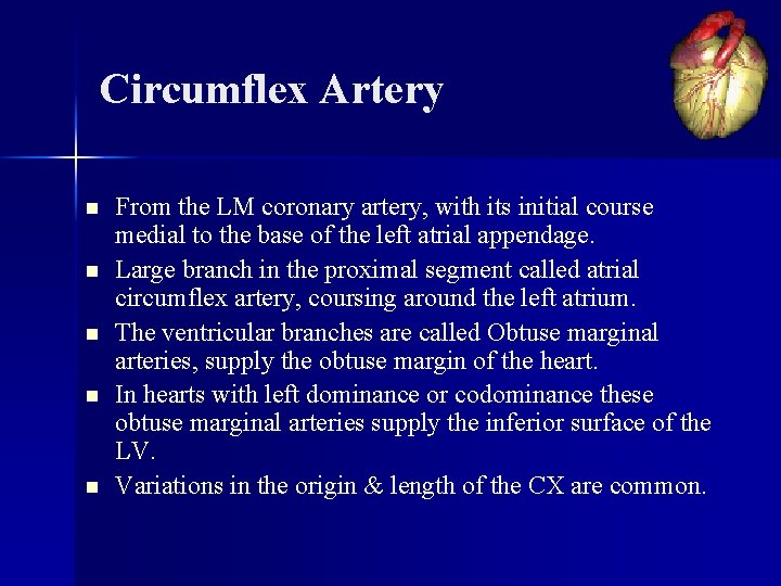 Heart Anatomy Coronary Arteries Veins Lymphatic components Salah