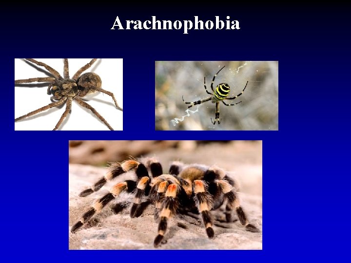 Mental Disorders Objectives Distinguish type of mental disorders