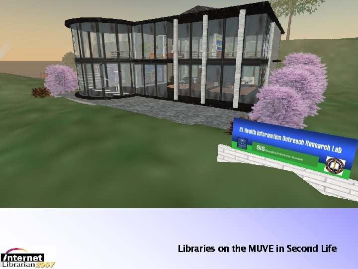 Libraries on the MUVE in Second Life Internet