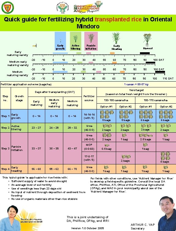 Quick guide for fertilizing hybrid transplanted rice in