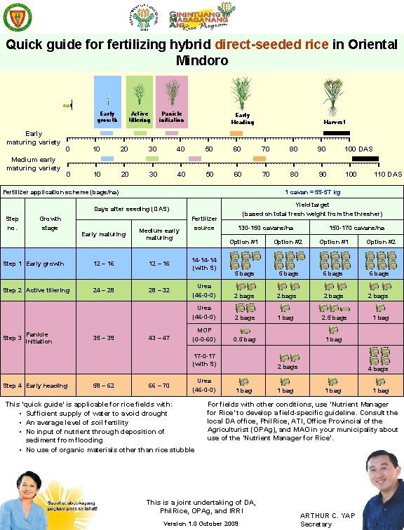 Quick guide for fertilizing hybrid transplanted rice in