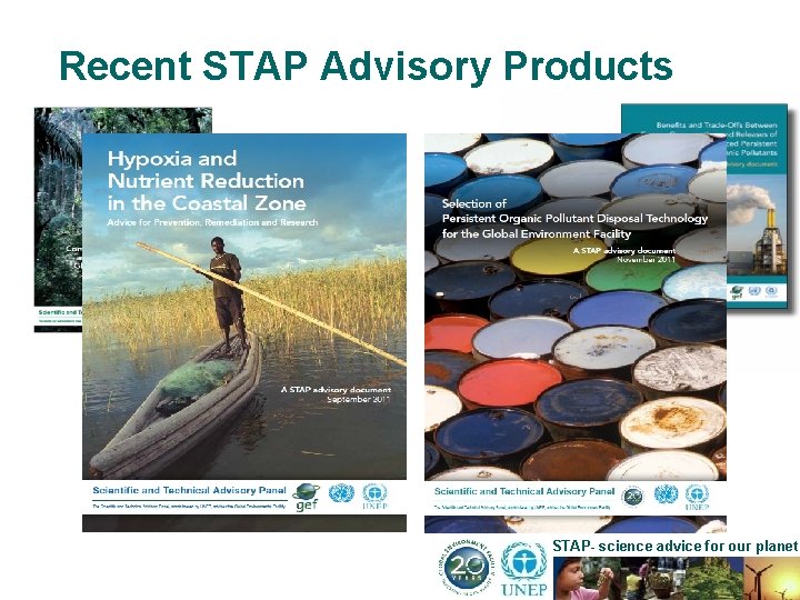 Scientific and Technical Advisory Panel Global Environment Facility