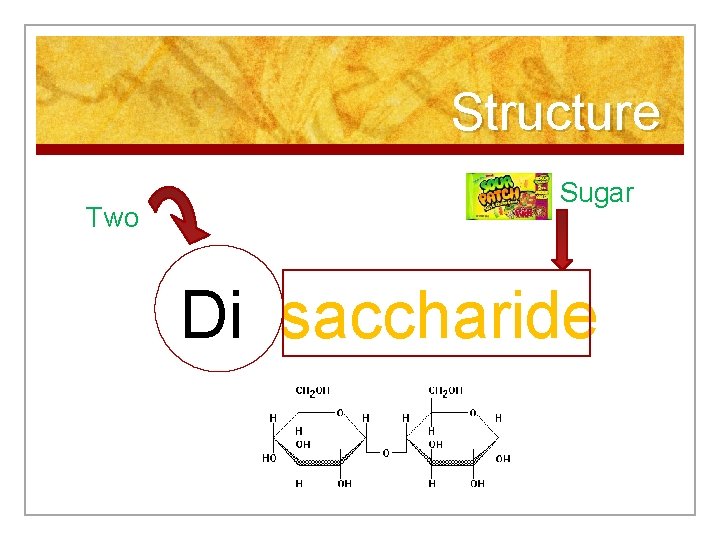 BIOMOLECULES The digestive process is occurring In order