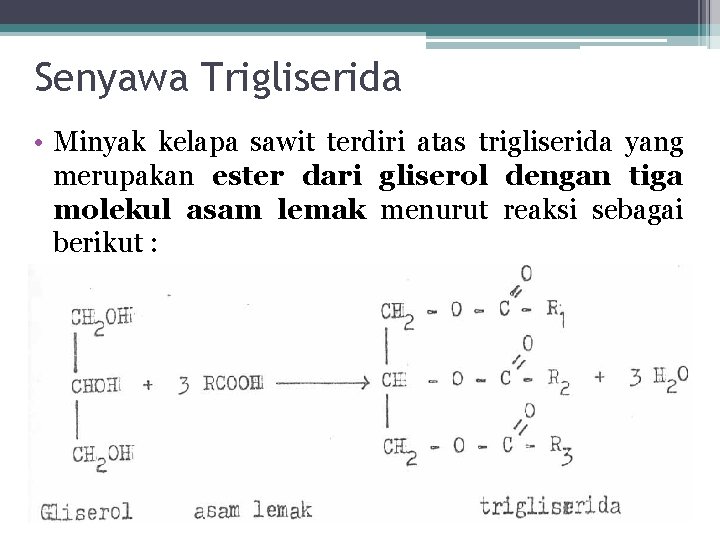 Mengenal Lebih Dekat Minyak Buah Kelapa Sawit Kelapa