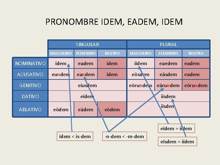 CAPITULUM XVIII GRAMMATICA Sustantivos 2 decl f paprus