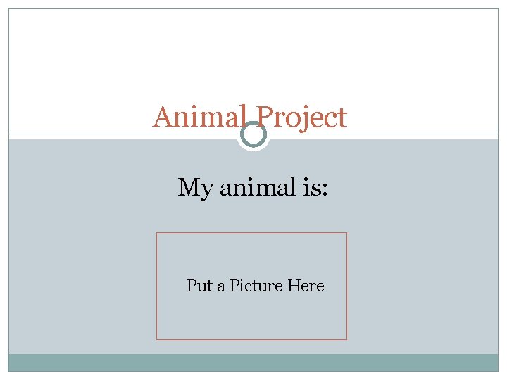 Animal Project My animal is Put a Picture