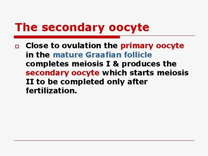 Female Reproductive System Originally given by Dr M