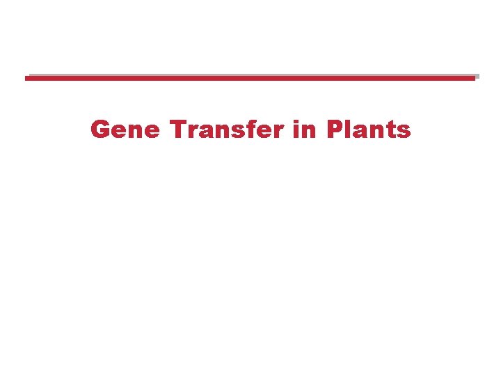 Gene Transfer in Plants Gene Transfer in Plants
